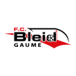 Portland Trail Blazers logo vector - Download logo Portland Trail ...